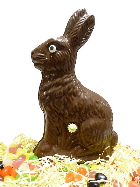 9" Rabbit – Victoria's Candies